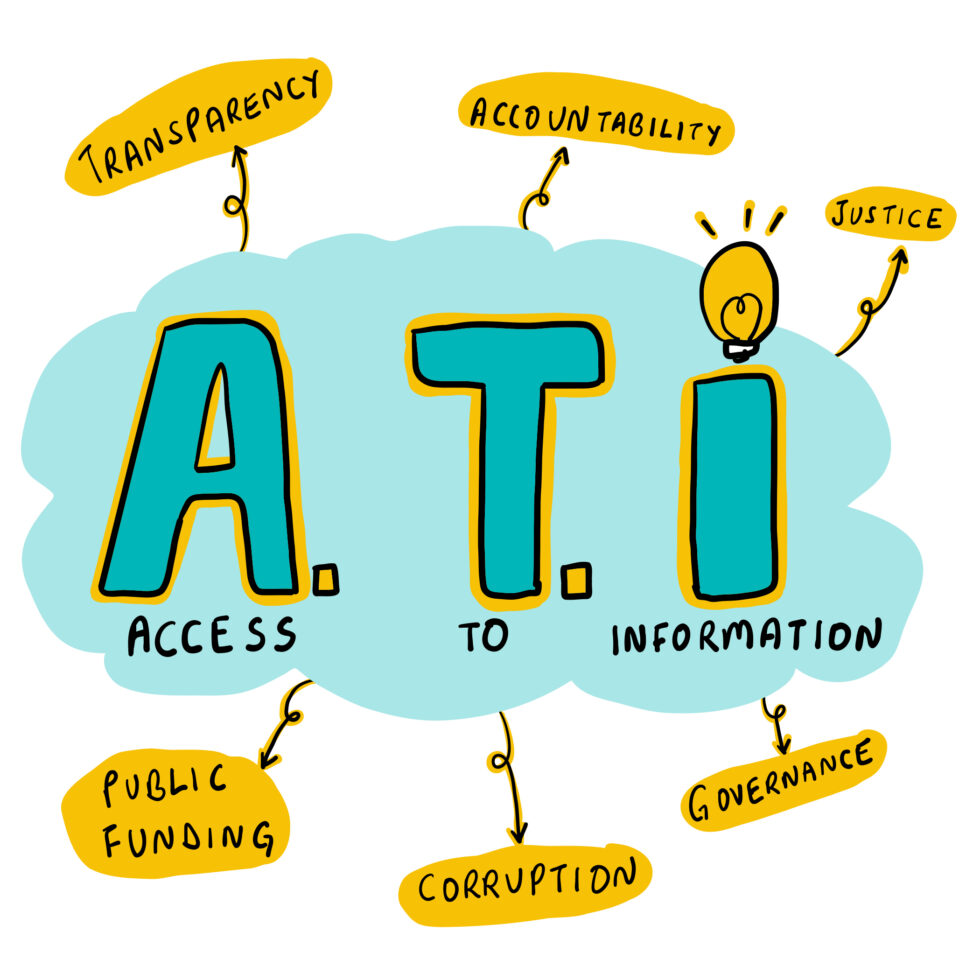 Access to Information: The Right that Holds All Others Together ...